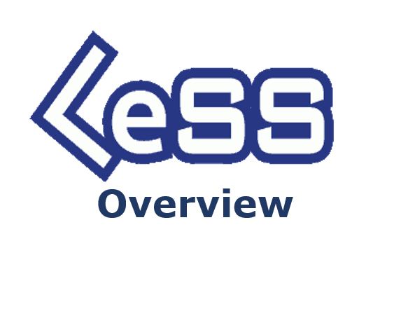 Lunch & Learn @ Large Bank: LeSS Overview & Q&A – Coaching. Consulting ...